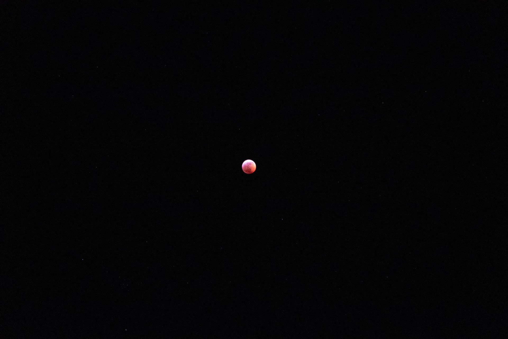 Super Blood Wolf Moon Lunar Eclipse | 919RALEIGH